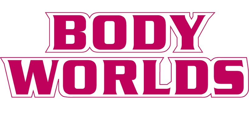 EDUCATIONAL ACTIVITIES THIS SUMMER AT THE BODY WORLDS LONDON - UK ...